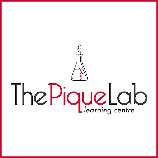 Jobs at The Pique Lab